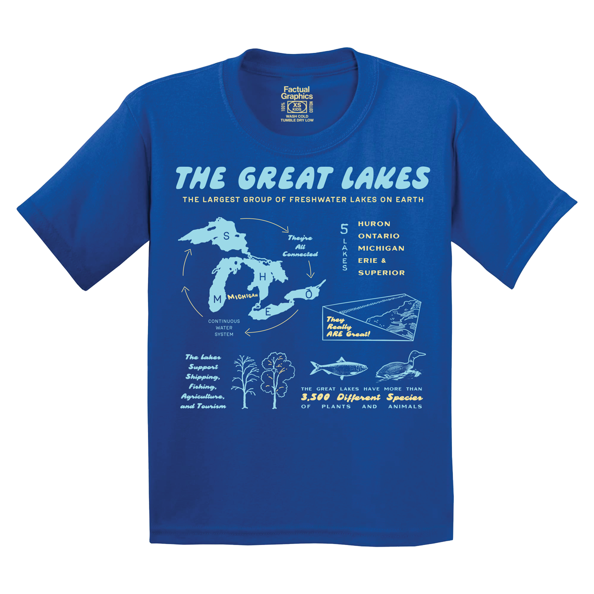 Kids - Great Lakes Tee – Factual Graphics